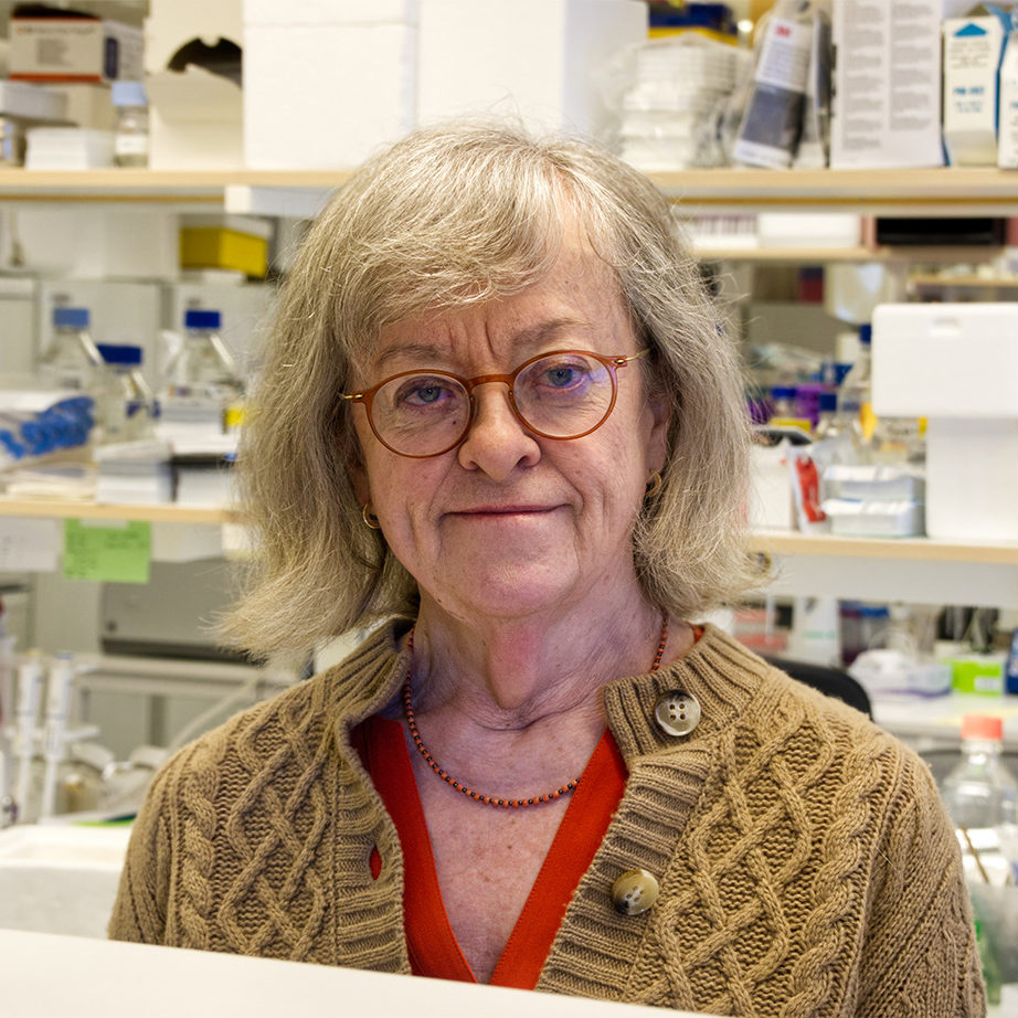 Forskningsprojekt - Grönbergska Stiftelsen